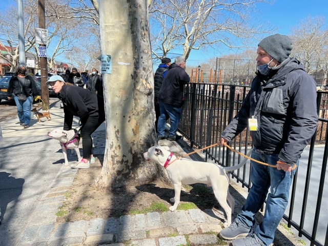 Flatlands – First “I Love My Pet Day” at Jacob Joffe Fields Draws ...