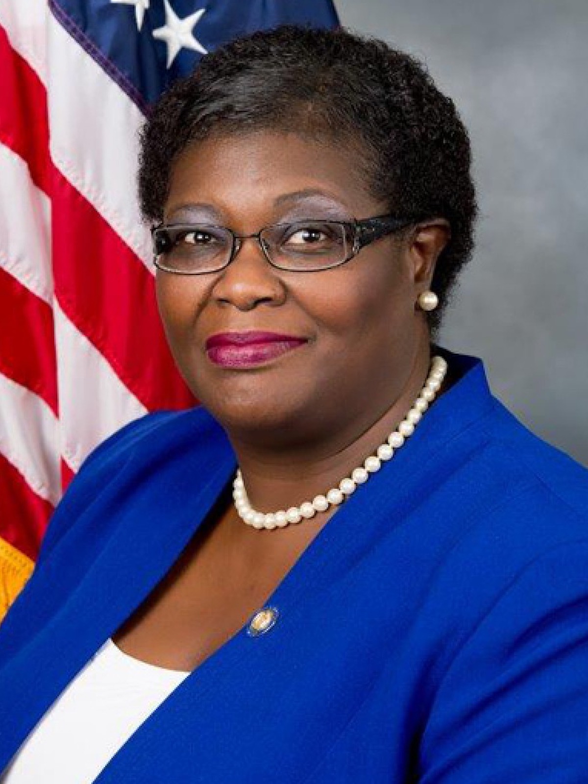 Persaud Announces State Aid of $3.5 Million for Canarsie Library ...